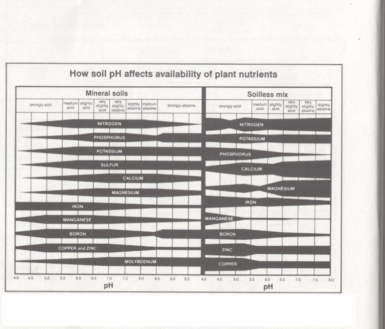 Ph Nutrient Availability Chart Hydroponics PH Level For DWC Grow