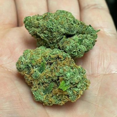 Citral Skunk Weed Strain - THCFarmer
