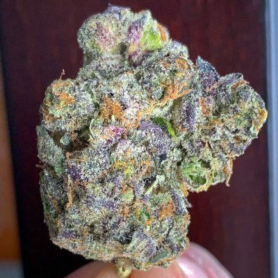 Gucci OG Weed Strain - THCFarmer