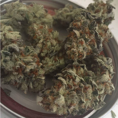 Bones OG - THCFarmer