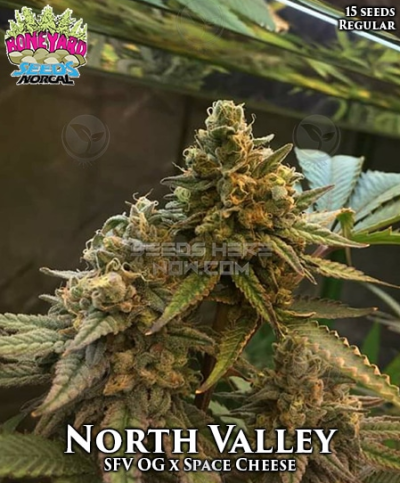 North Valley - THCFarmer