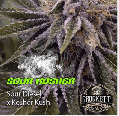 Sour Kosher - THCFarmer
