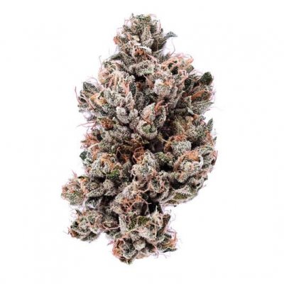 Kosher Kush Weed Strain - THCFarmer