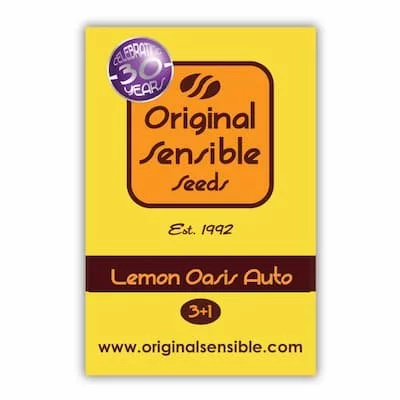 Lemon Oasis Auto Seeds - Original Sensible Seeds - THCFarmer